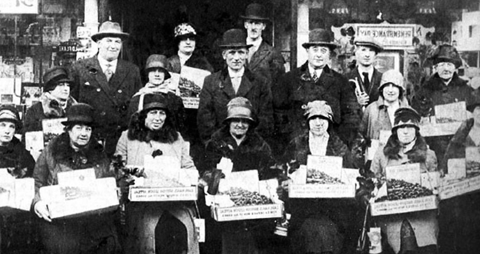 All about the Poppy | Royal British Legion